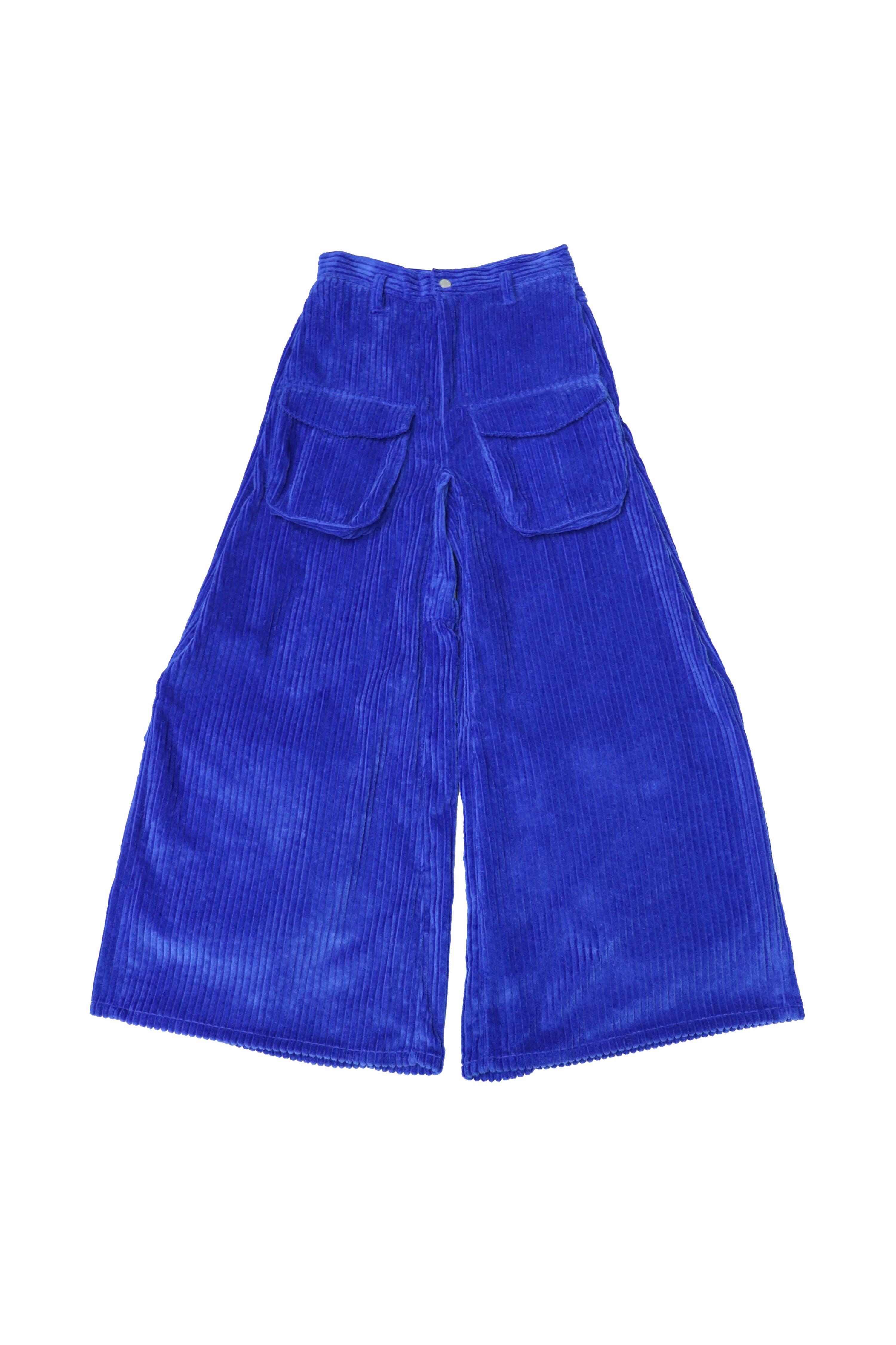 SHINYAKOZUKA(シンヤコヅカ)のM-PANTALON FOR PALETTE ART ALIVE BREATHTAKING BLUE ...