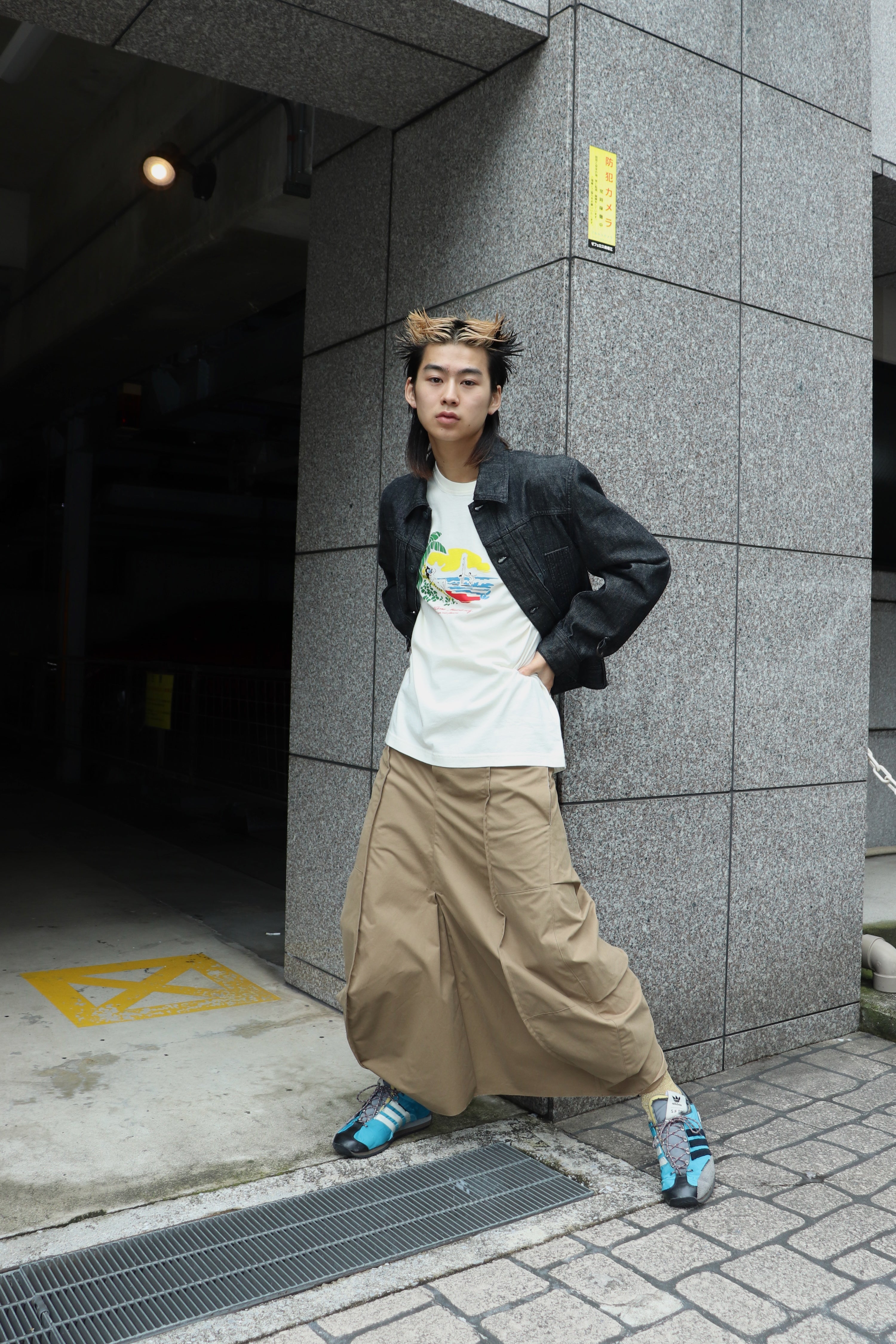 CARNE BOLLENTE's All You Want IS mail order | Palette Art Alive online ...